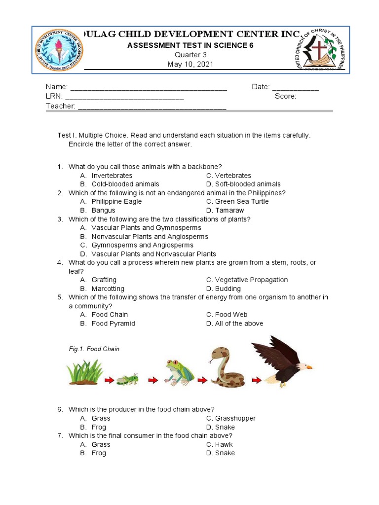 Assessment in Science 6 | PDF