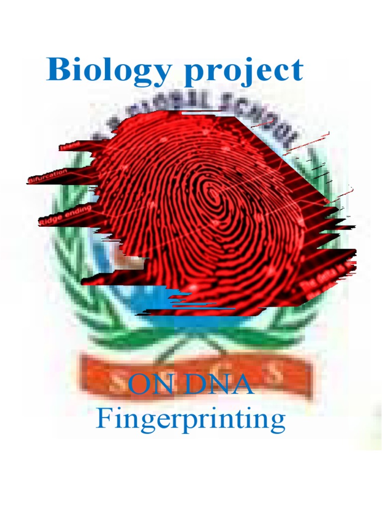 Biology Project: On Dna Fingerprinting | PDF | Dna Profiling | Gel ...
