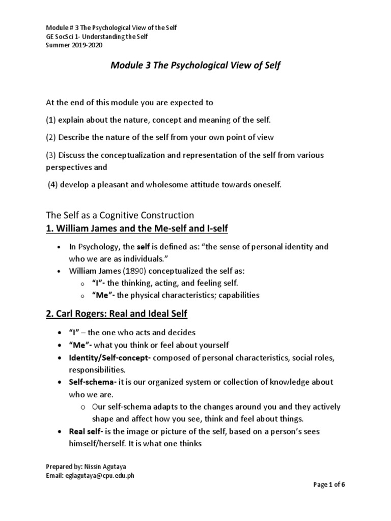 Understanding Self-Concept and Schema | PDF | Self Concept | Id