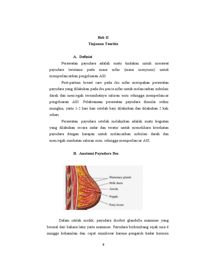 TEKNIK PERAWATAN PAYUDARA UNTUK MELANCARKAN ASI | PDF