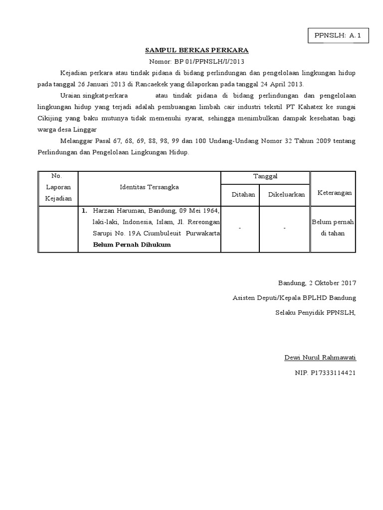 BAP Fix Rapihin Rizan | PDF