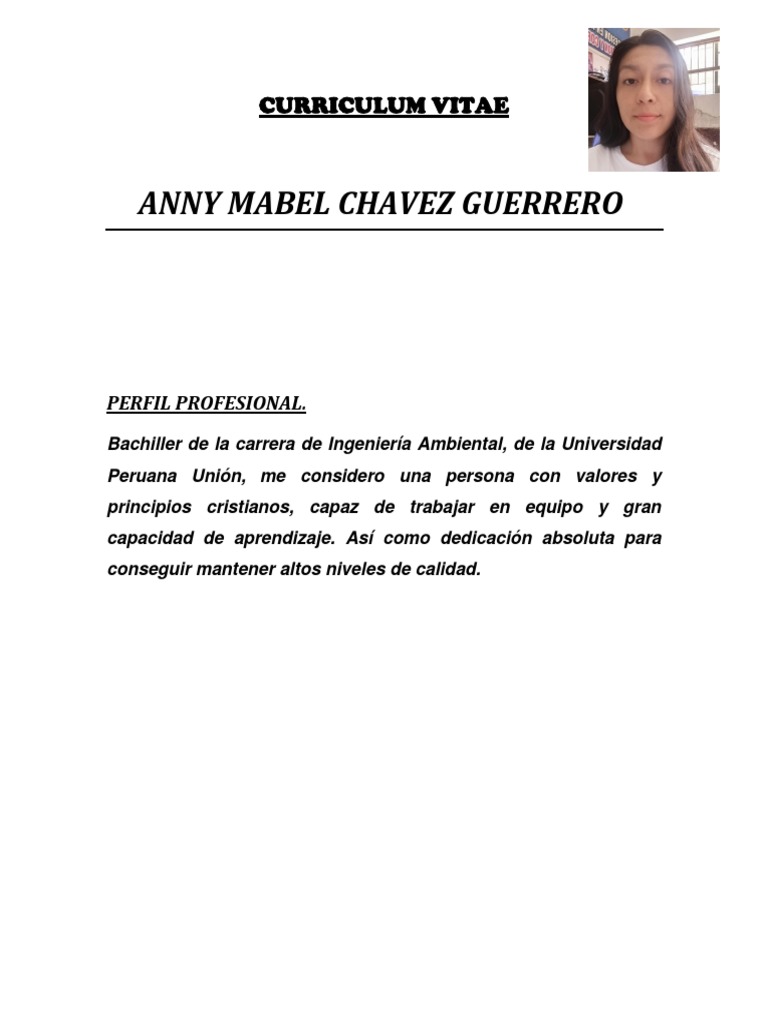 Curriculum Anny Chavez-1 | PDF | Residuos | Perú