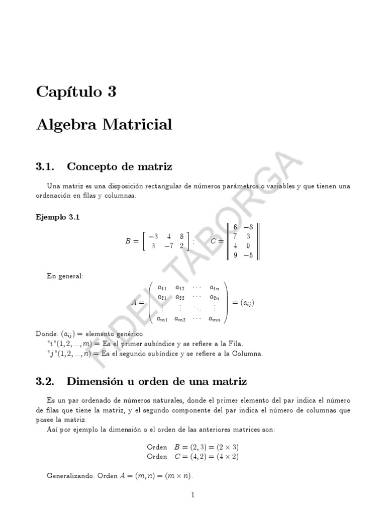 Algebra Matricial | PDF | Matriz (Matemáticas) | Álgebra