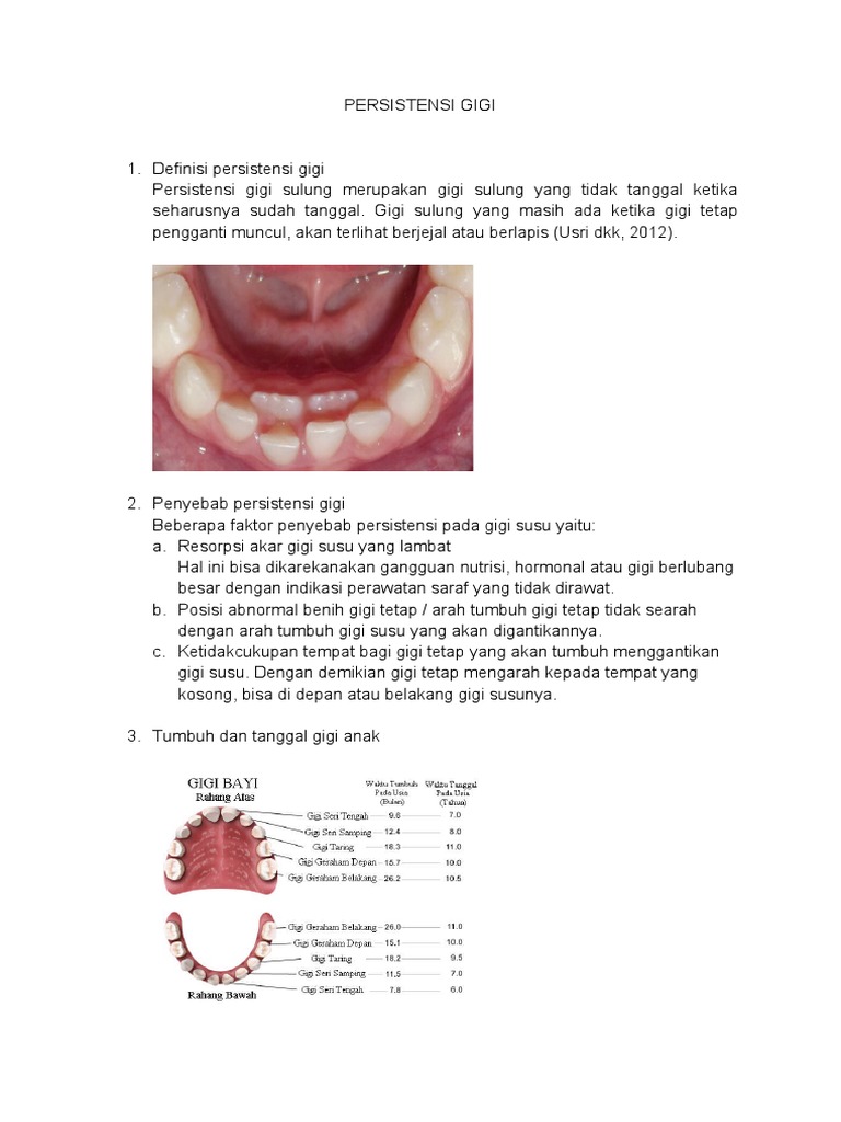 Persistensi Gigi | PDF