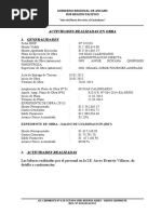 Informe de Levantamiento de Observaciones | PDF | Naturaleza