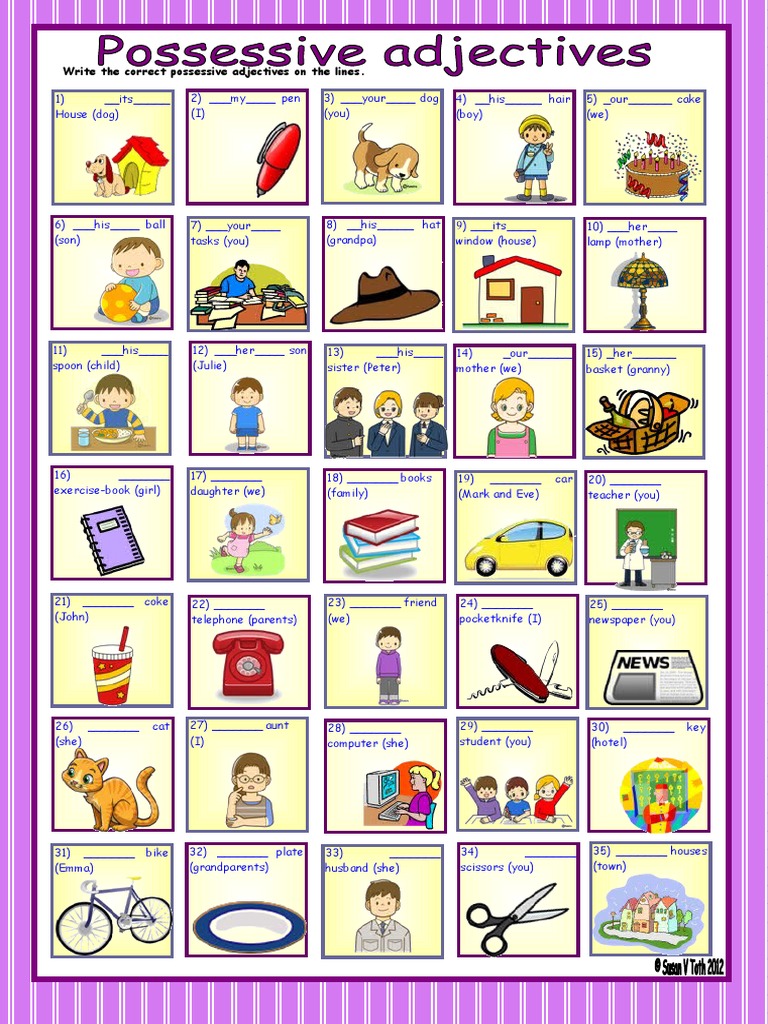 Write The Correct Possessive Adjectives On The Lines | PDF