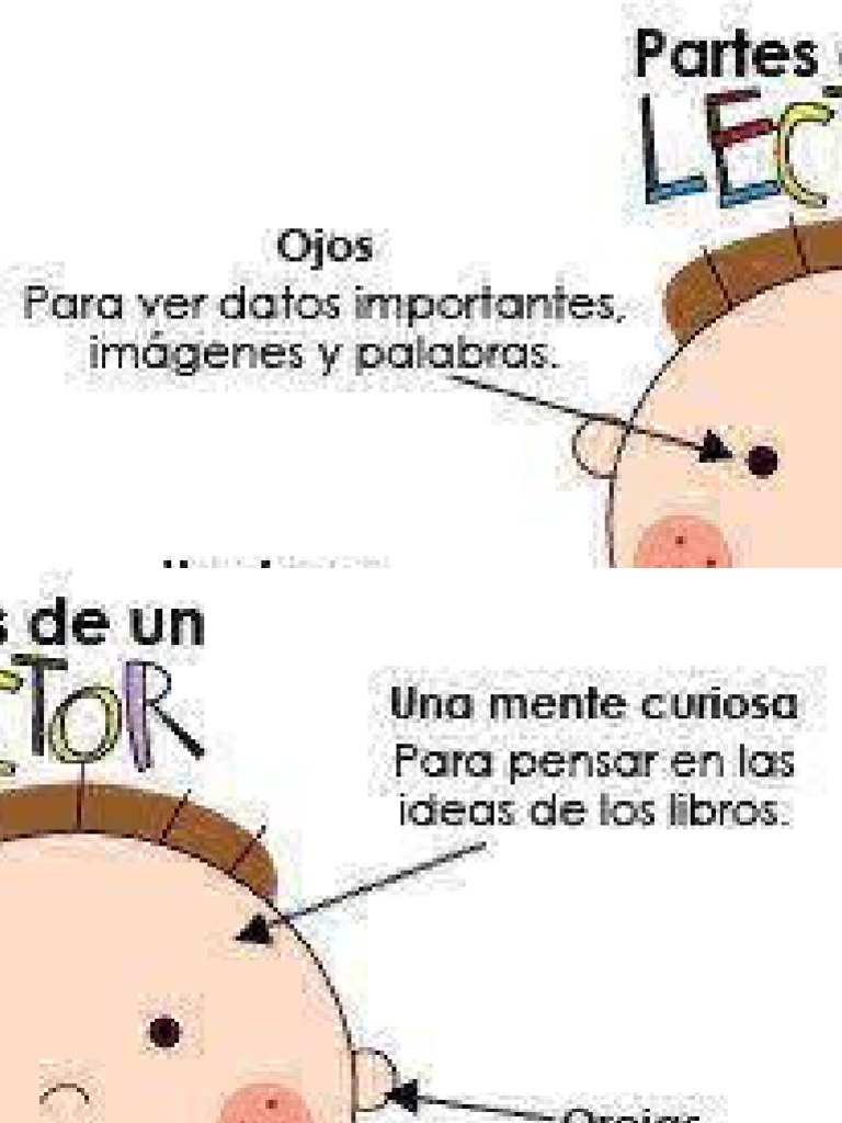 partes de un lector | PDF