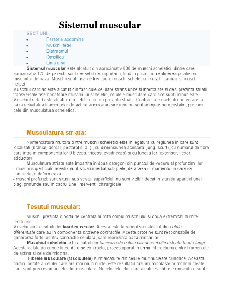Sistemul Muscular Anatomie | PDF