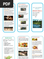 Triptico Sierra Peruana | PDF | Naturaleza