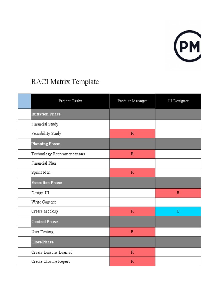 RACI Matrix Template for Product Management | PDF | Communication ...