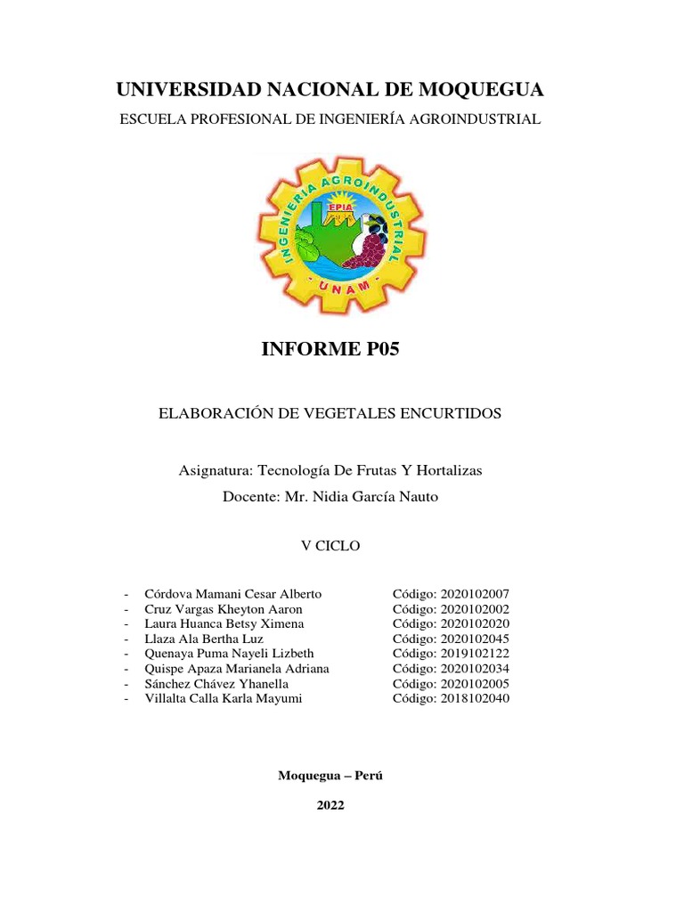 Informe P05 Encurtido | PDF | Decapado | Química