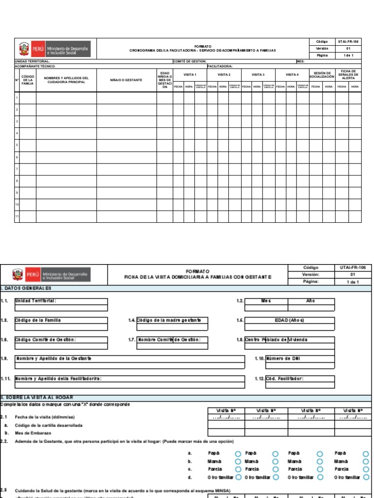Anexos SAF Formato Integrado | PDF | Hipertensión | Condicion cronica