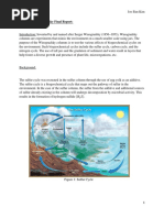 Sponge Absorbency Lab | PDF | Sponge | Mass