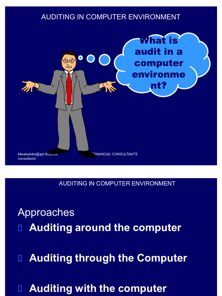 Auditing in A Computer Environment | Download Free PDF | Audit | Vulnerability (Computing)