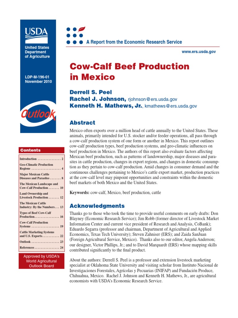 Mexican Cow-Calf Beef Production Insights | PDF | Cattle | Calf