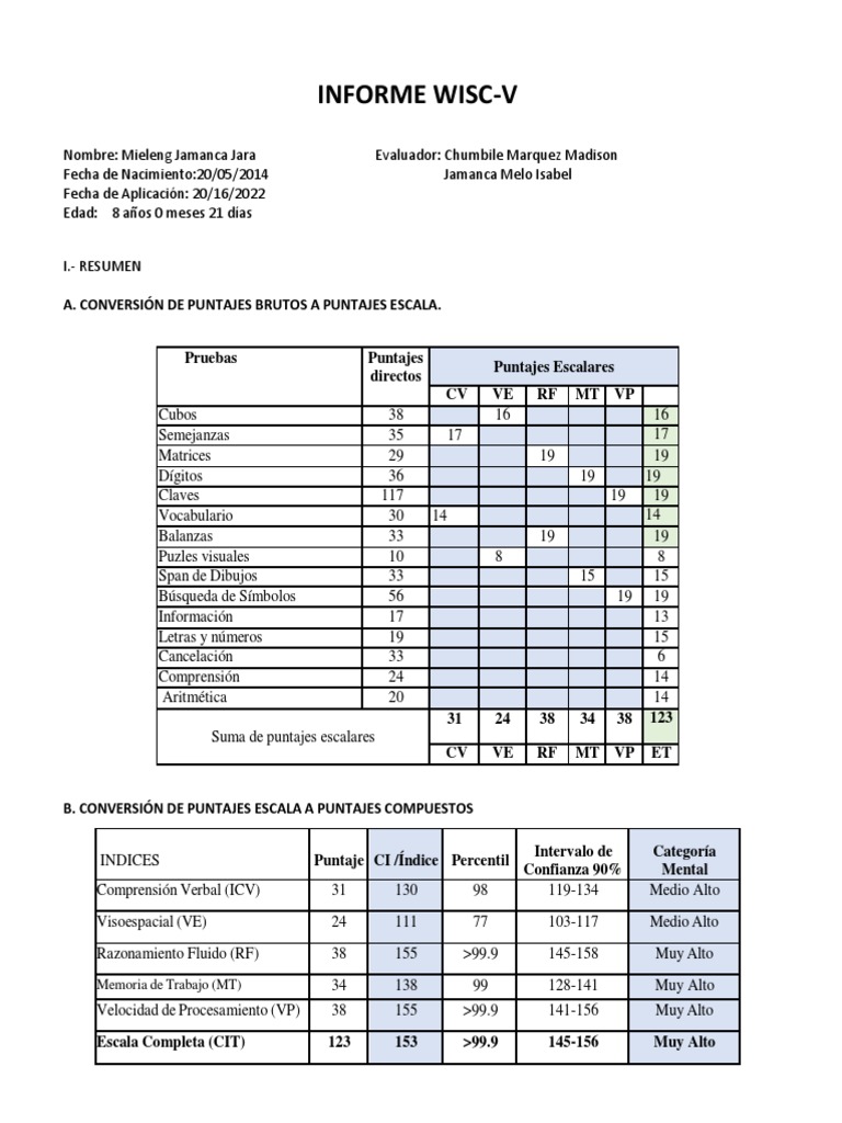 Informe Wisc-V.. | PDF | Memoria | Inteligencia