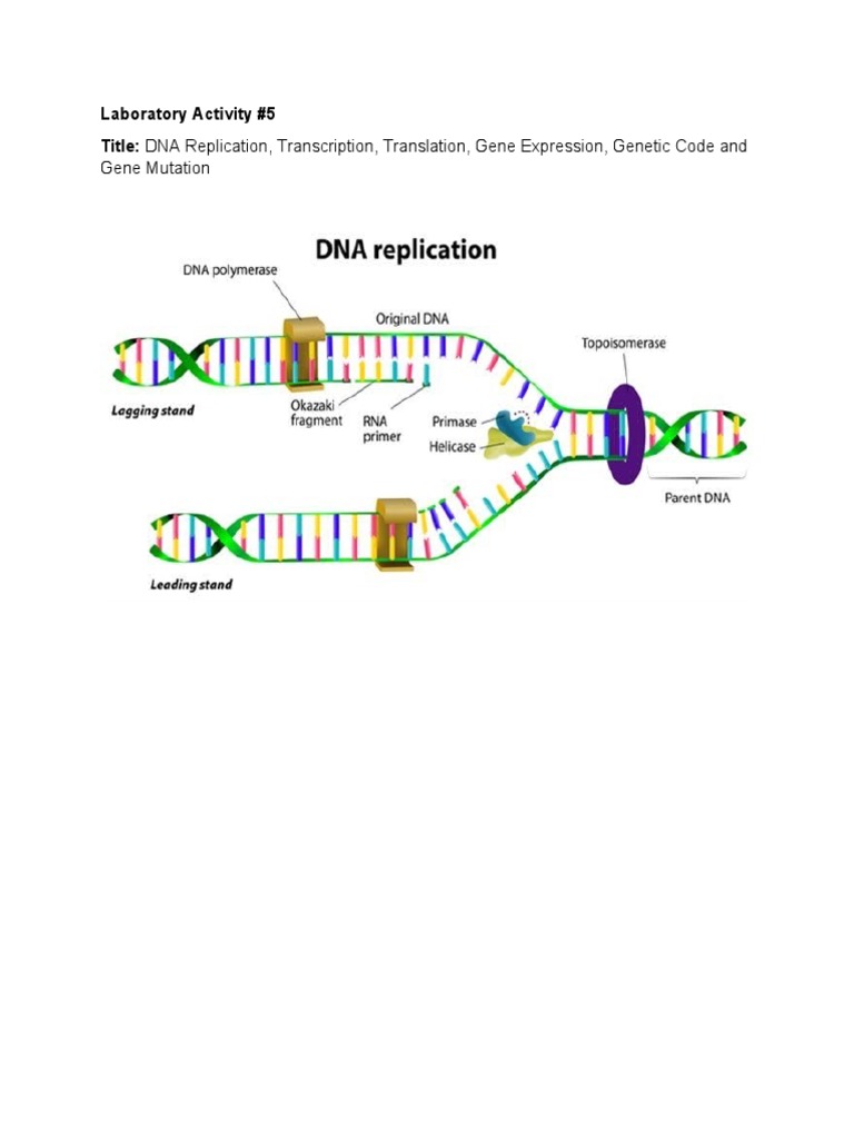 Laboratory Activity 5 | PDF