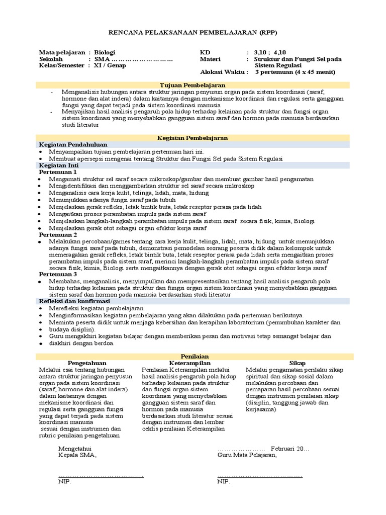 RPP Struktur Dan Fungsi Sel Pada Sistem Regulasi | PDF | Karier ...