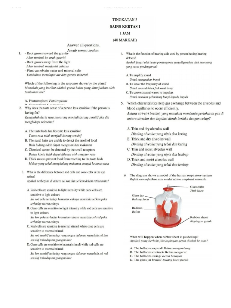 FINAL EXAM SCI PAPER 1 - Google Forms | PDF