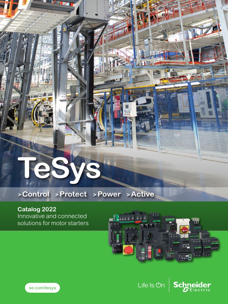 TESYS Catalogue | PDF | Visual Cortex | Relay