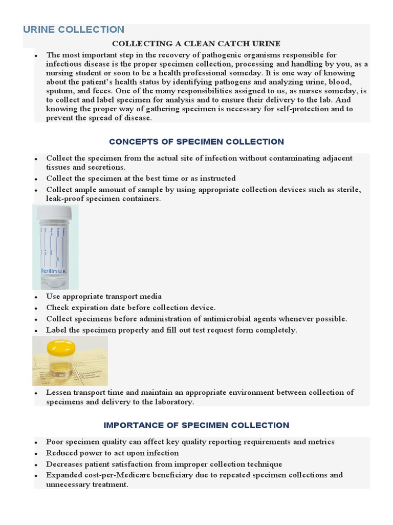 Urine Collection: Collecting A Clean Catch Urine | PDF | Urinary Tract ...