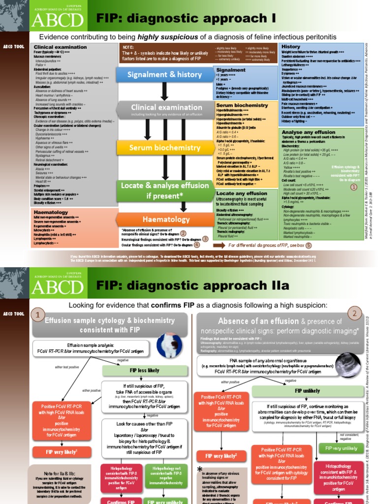 FIP: Diagnostic Approach I: Signalment & History | PDF | Cytopathology ...