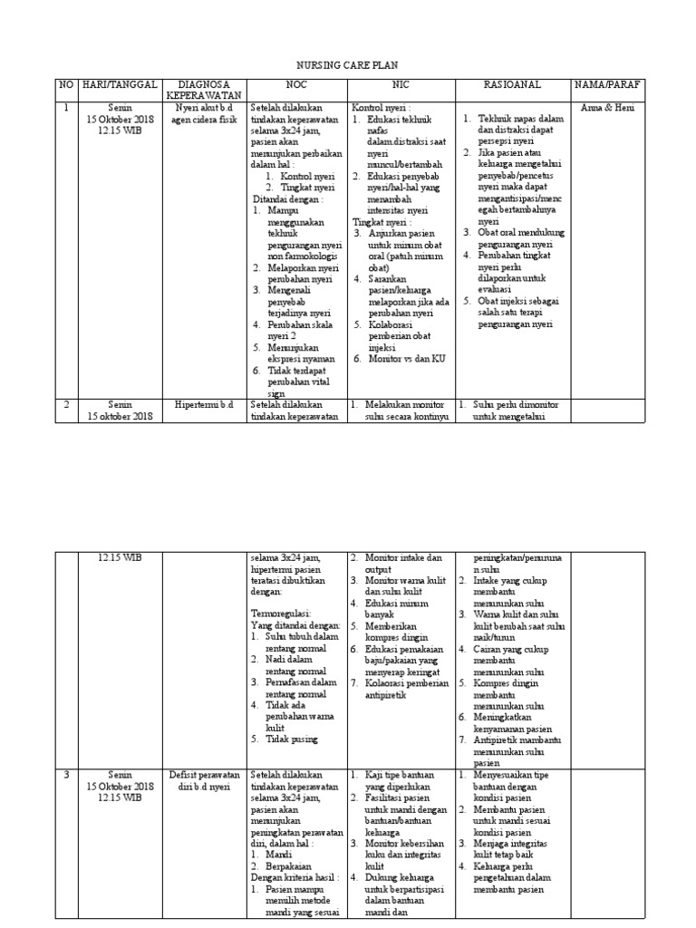 Nursing Care Plan | PDF
