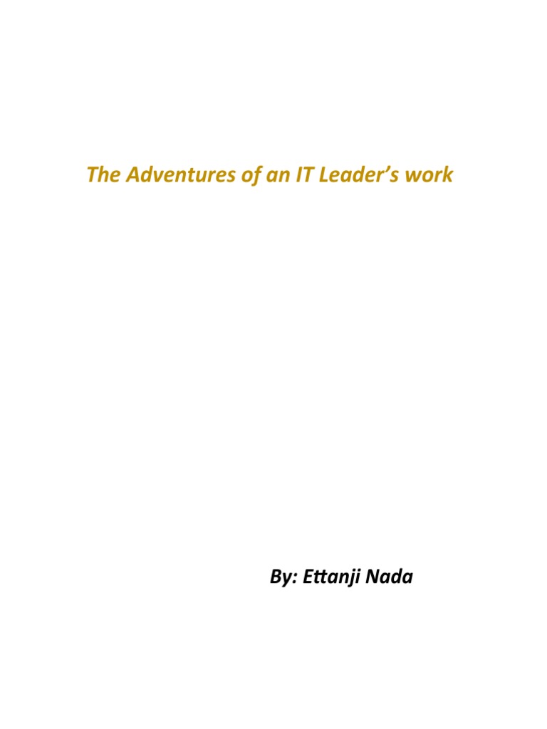 The Adventures of An IT Leader | Download Free PDF | Databases | Economies