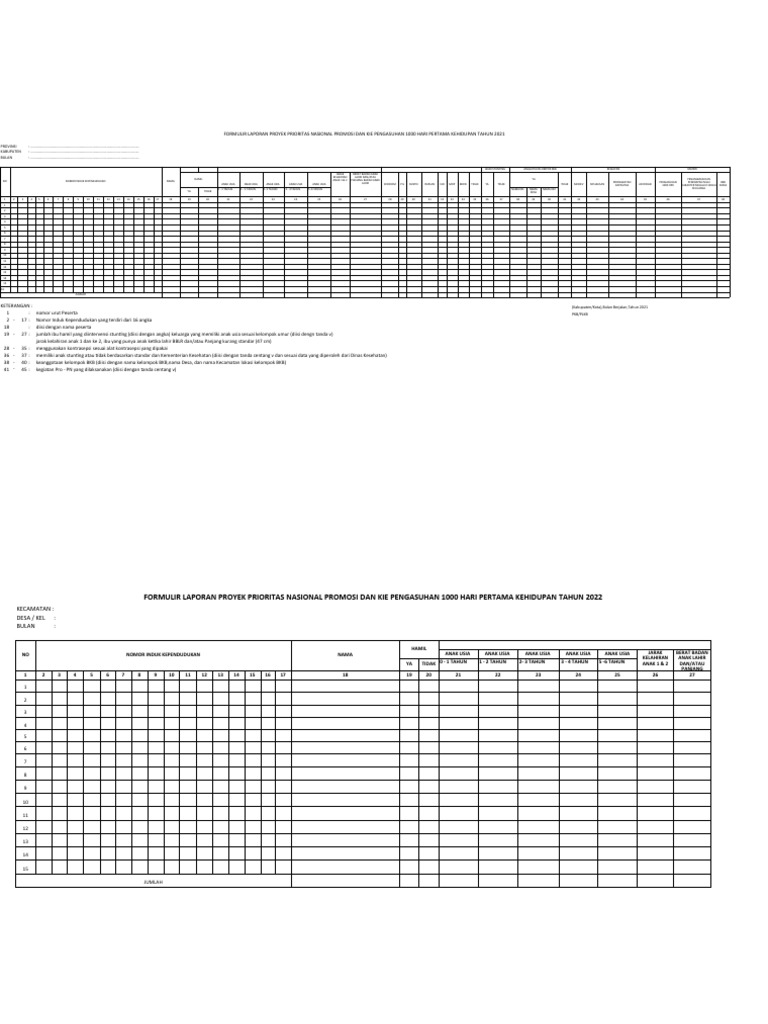 Formulir Laporan Pro PN BKB Tahun 2022 | PDF