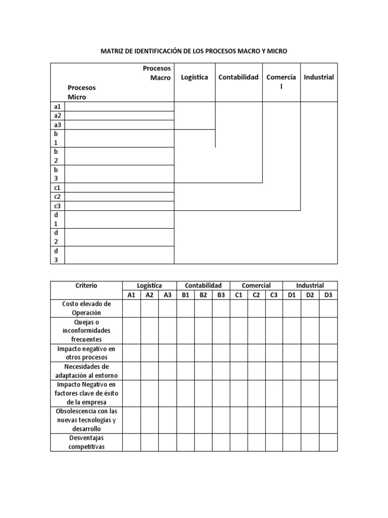 Matriz de Identificaión de Los Procesos Macro y Micro | PDF | Logística | Economias