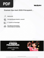 Test de Atencion d2 Manual | PDF