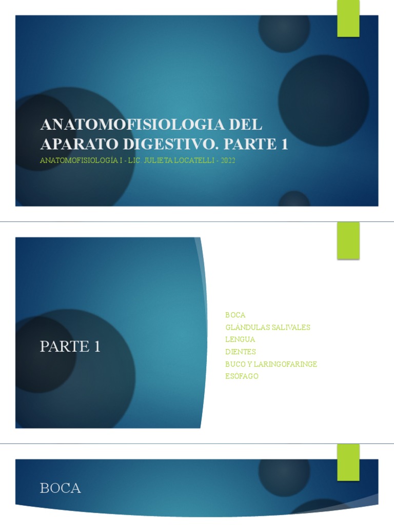 Anatomofisiologia Del Aparato Digestivo. Parte 1 | PDF | Esófago | Boca