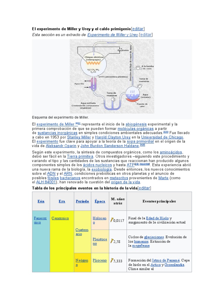 El Experimento de Miller y Urey y El Caldo Primigenio | PDF ...