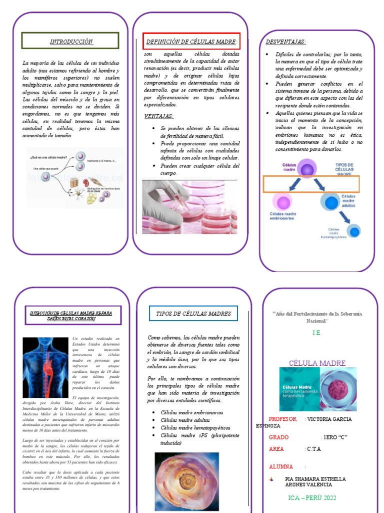 CEDULA MADRE | PDF | Célula madre | Especialidades Medicas