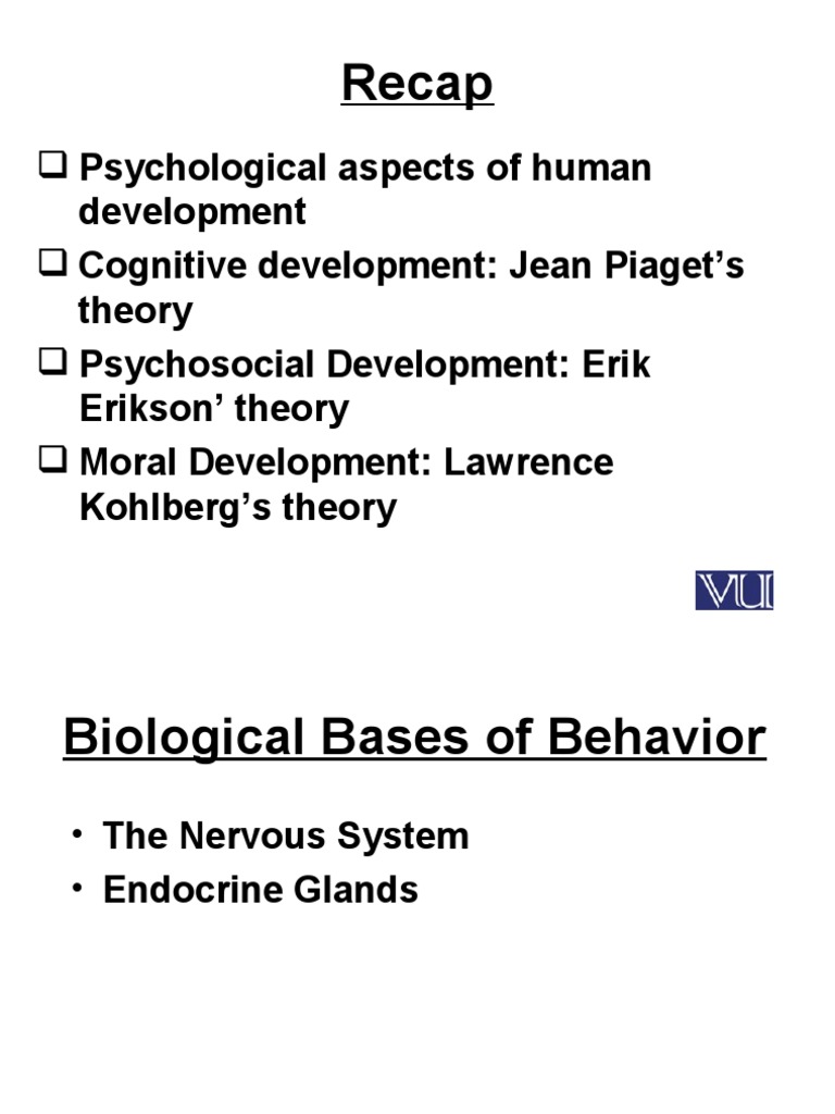 Lect 12 | PDF | Neuron | Nervous System