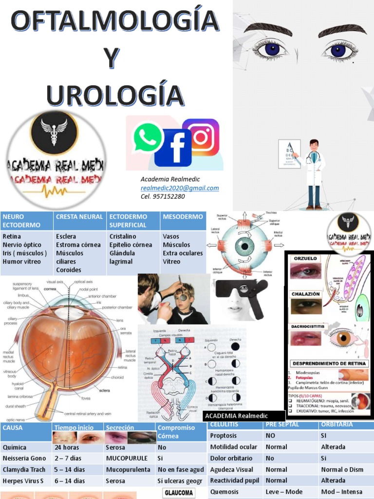 Curso Repaso Cirugía 2 - Oftalmo y Uro - Realmedic | PDF | Cancer de prostata | Antígeno ...