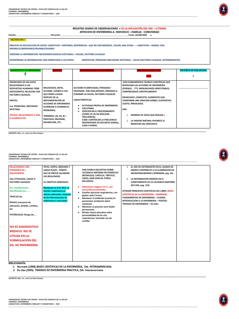 Formulario de Pae - Nuevo | PDF | Enfermería | Cuidado de la salud