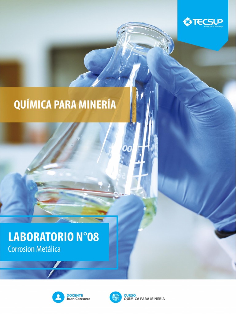 Laboratorio 8 Aplicación de Electroquímica en La Corrosión de Metales ...