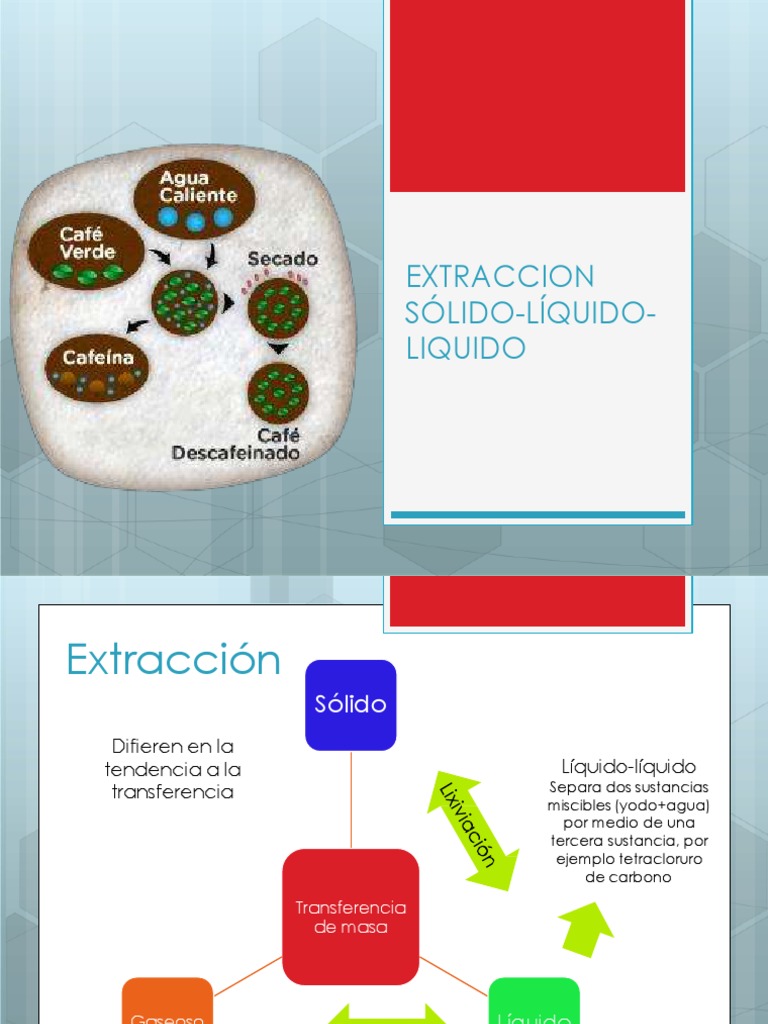 Extracción Sólido-Líquido: Guía Básica | PDF | Solvente | Química