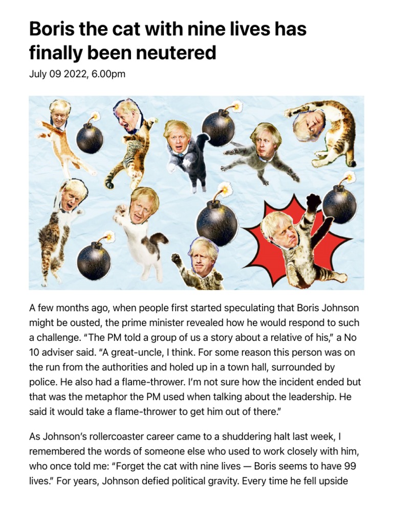 Tim Shipman - Boris The Cat With Nine Lives Has Finally Been Neutered ...