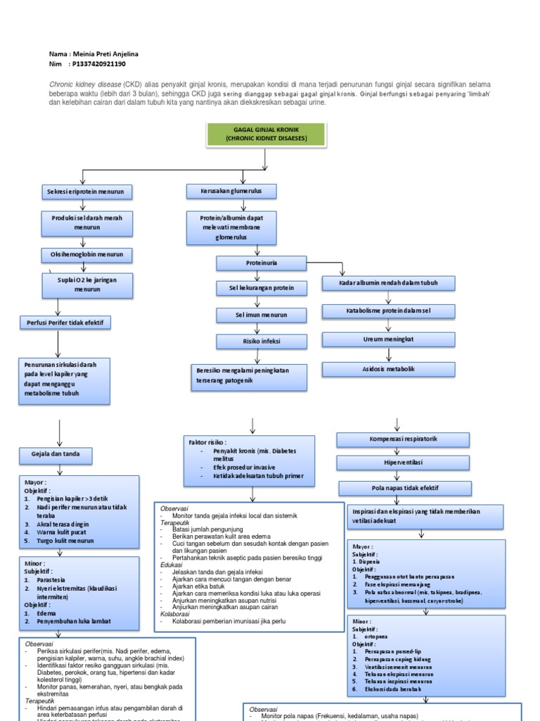 Woc CKD (Meinia Preti A) | PDF