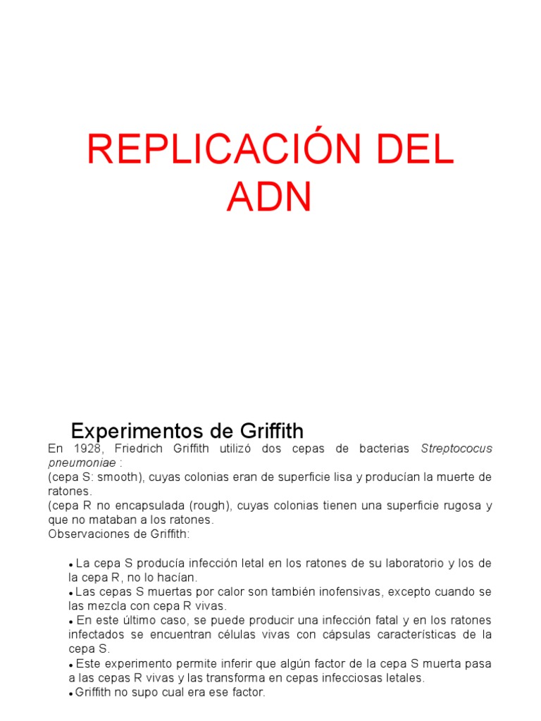 GENÉTICA MOLECULAR - Replicación Del ADN - PPT - Presentaciones de Google | Descargar gratis PDF ...