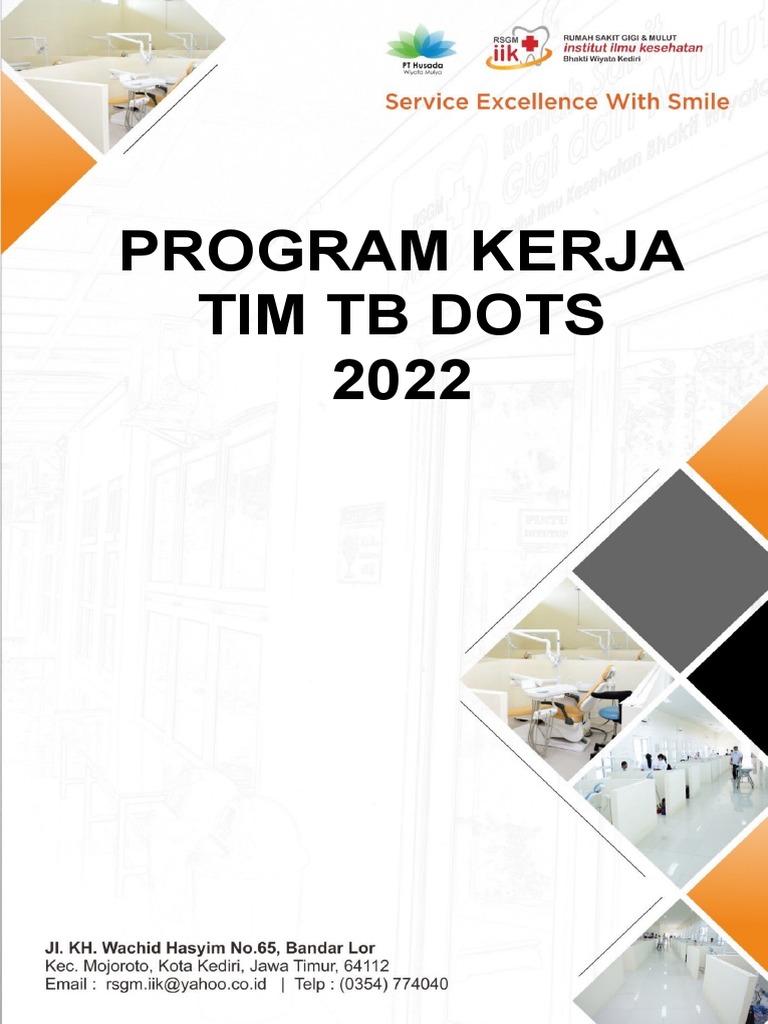 Progam Kerja Tim TB Paru | PDF