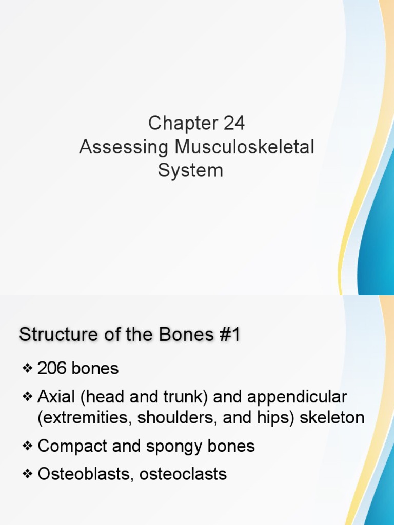 Comprehensive Assessment of the Musculoskeletal and Neurological ...