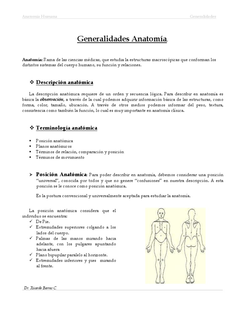 Generalidades de Anatomia | Descargar gratis PDF | Términos anatómicos ...