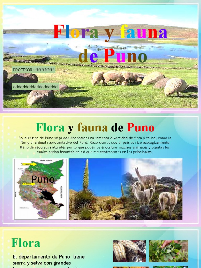 FLORA Y FAUNA DE PUNO | PDF
