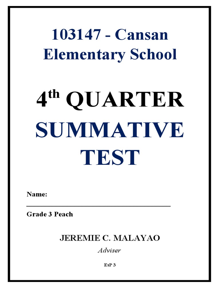 Summative Test 1 | PDF