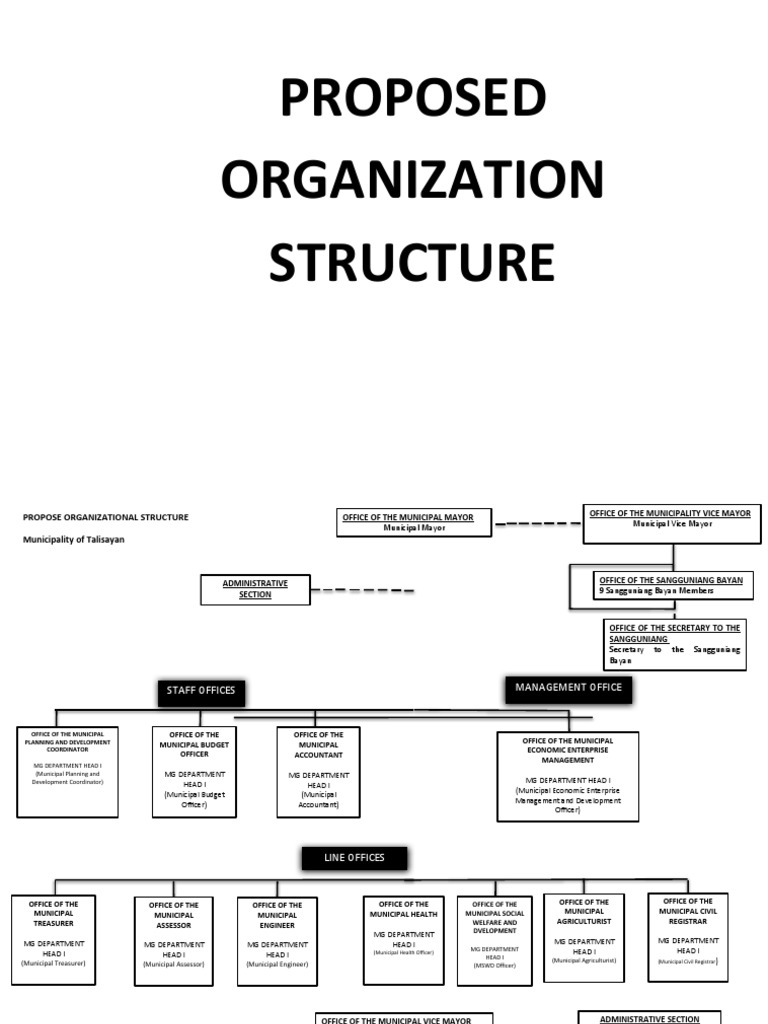 PROPOSED LGU ORGANIZATION STRUCTURE | PDF | Physical Therapy | Heavy ...