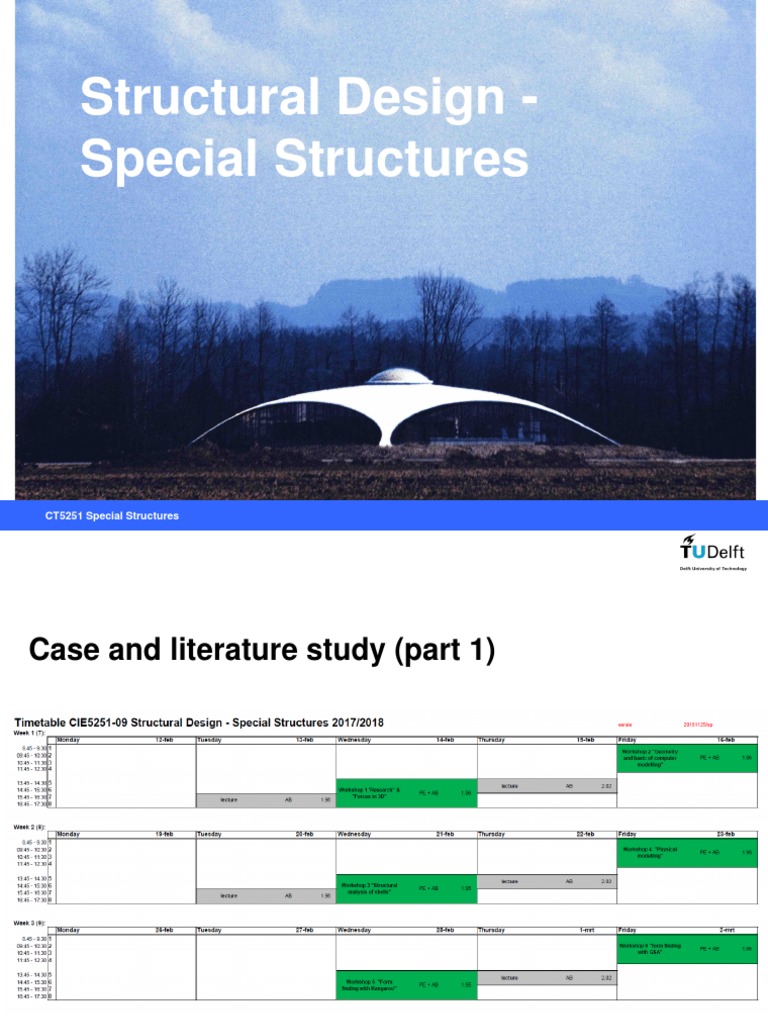 Special Structures Design and Optimization | PDF