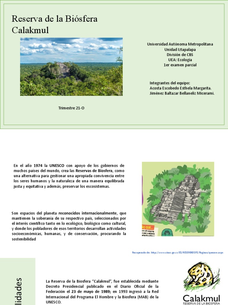 Calakmul | PDF | Clima | Zona tropical